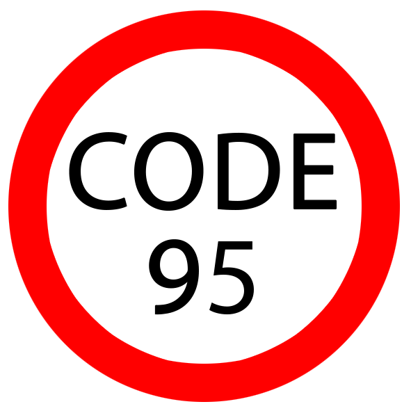 RDW Qualification Card (code 95) - Pasfoto maken Amsterdam