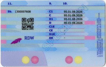 RDW Qualification Card (code 95) - Pasfoto maken Amsterdam